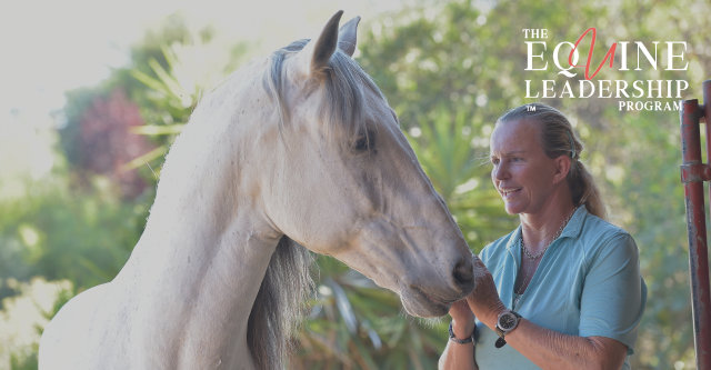 Photo Gallery of our Equestrian Leadership Program in Action